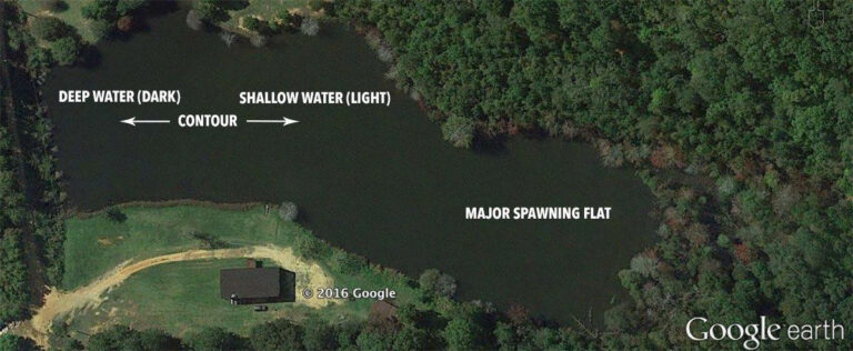 How to Find the Best Bank Fishing Spots - Wired2Fish