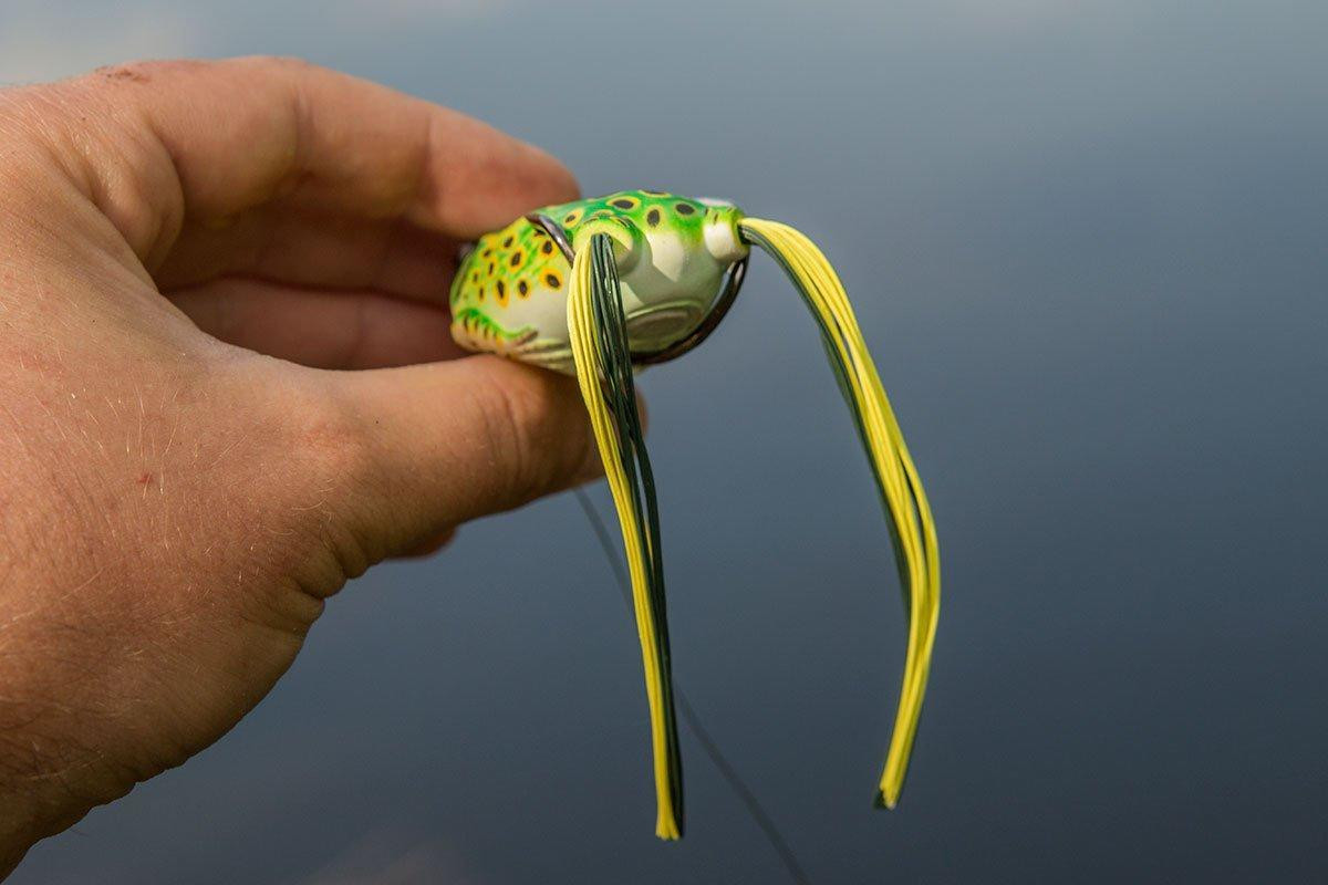 LIVETARGET Hollow Body Frog Review - Wired2Fish