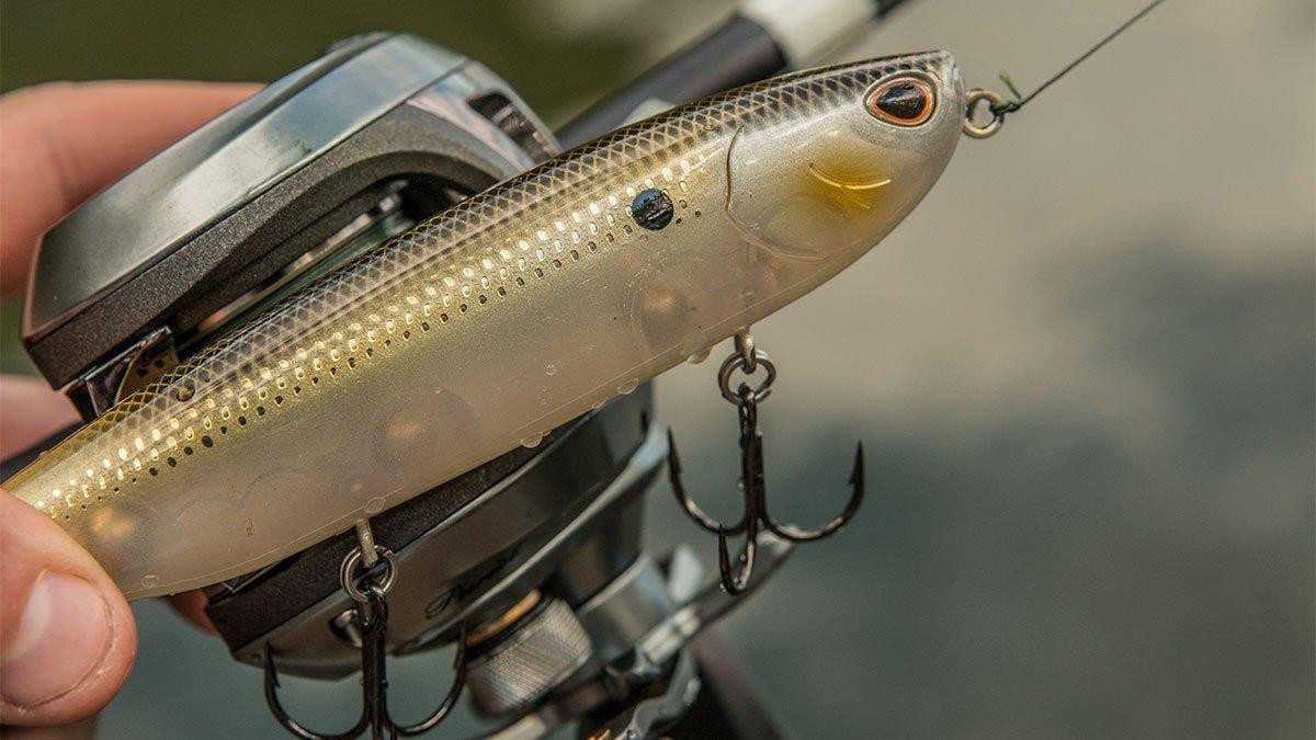 Storm Arashi Top Walker Review - Wired2Fish
