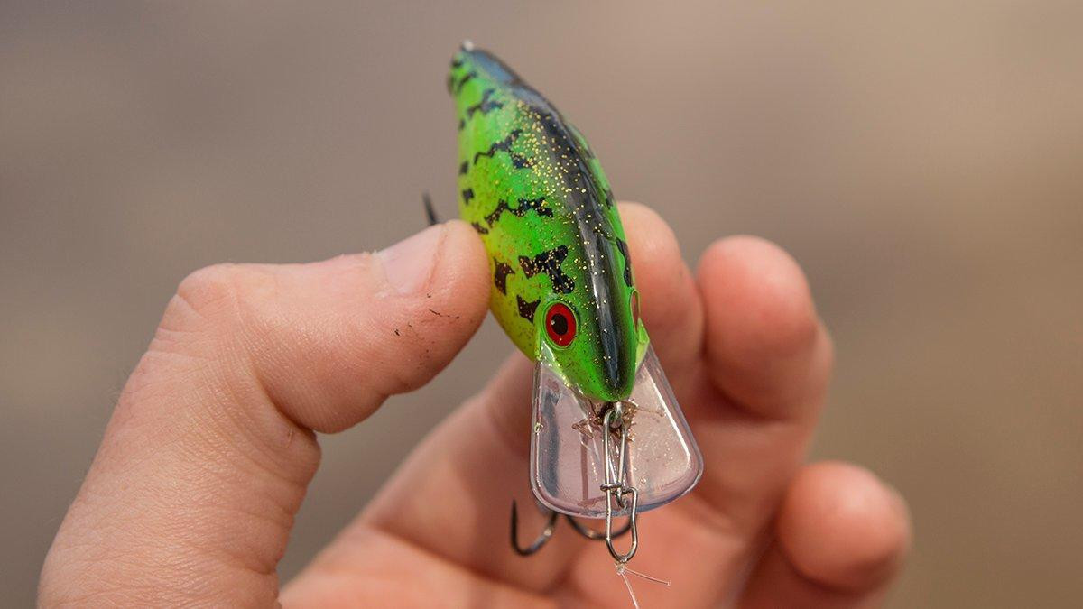 Luhr Jensen Speed Trap Review - Wired2Fish