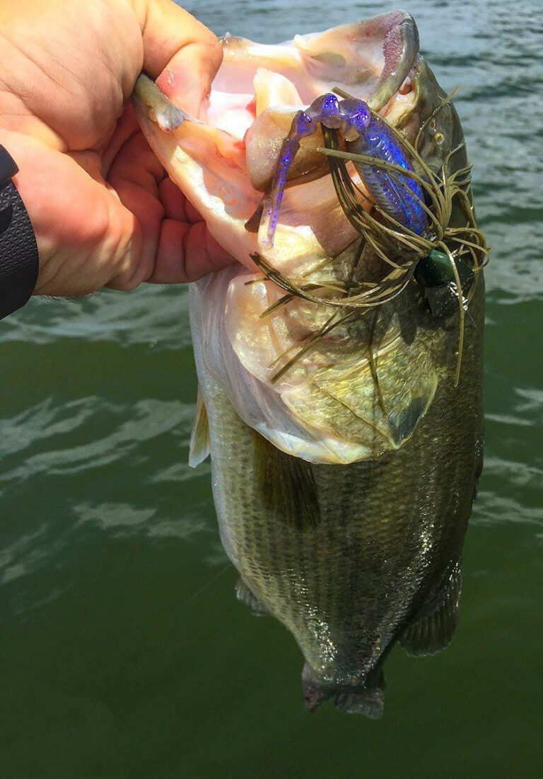 Yamamoto Zako Swimbait Review - Wired2Fish