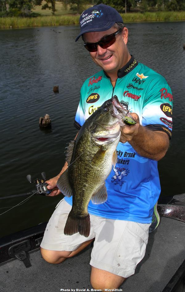 Bass Fishing Strategies for Stump Fields - Wired2Fish
