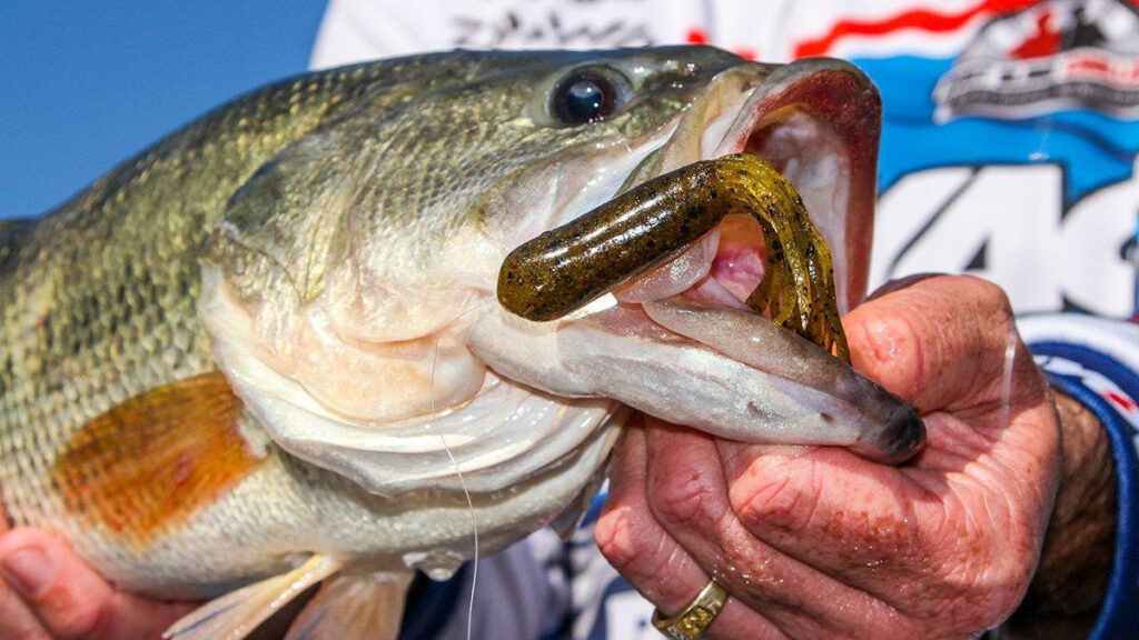 Master Cracking Tubes for Better Bass Fishing - Wired2Fish