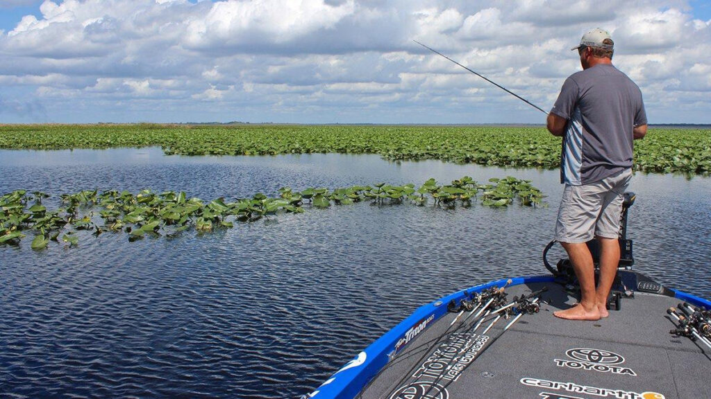 Are You Fishing the Wrong Lily Pads? - Wired2Fish