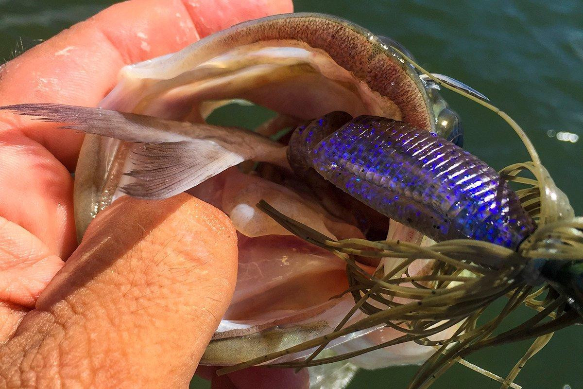 Yamamoto Zako Swimbait Review - Wired2Fish