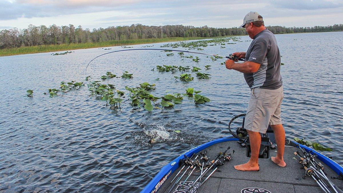 Are You Fishing the Wrong Lily Pads? - Wired2Fish