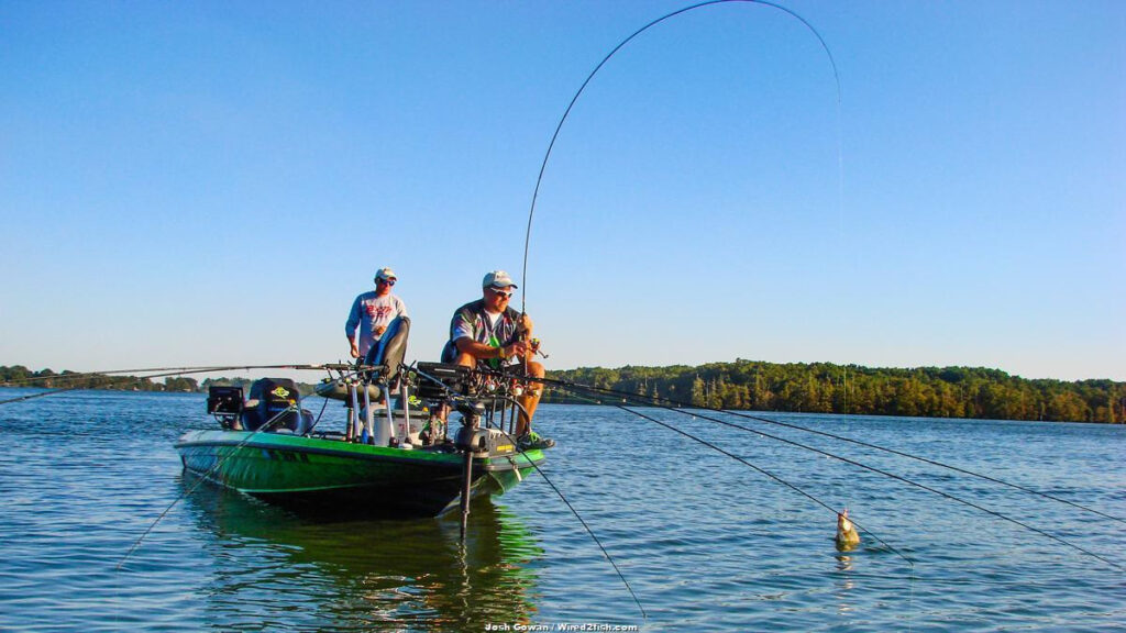 Learn to Spider Rig Big Crappie Now - Wired2Fish
