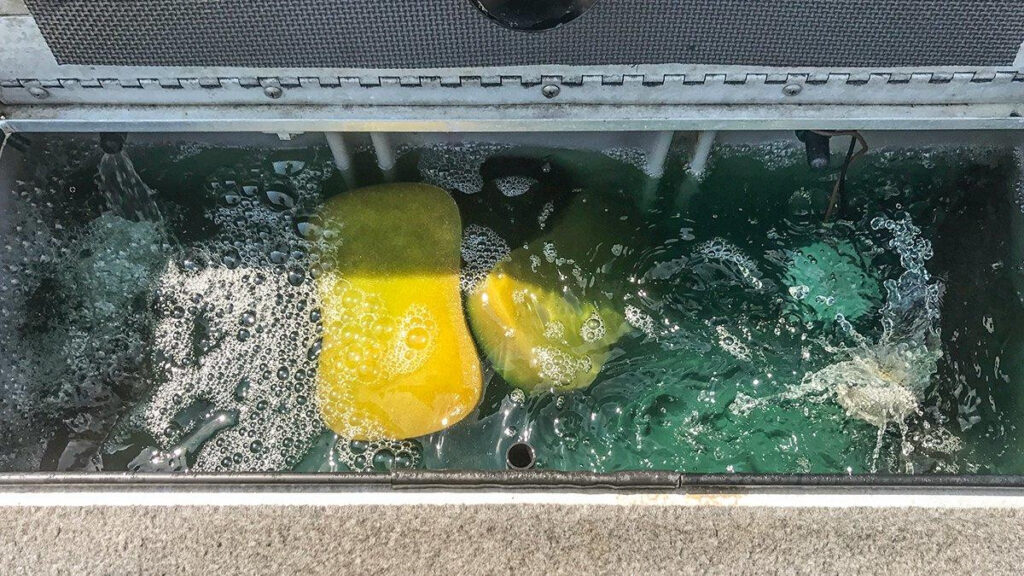 An Easy Livewell Trick for Better Fish Care - Wired2Fish