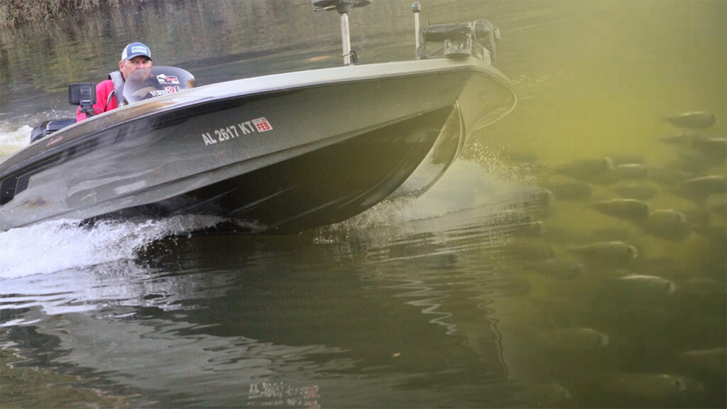 3 Ways to Quickly Activate Schooling Bass - Wired2Fish