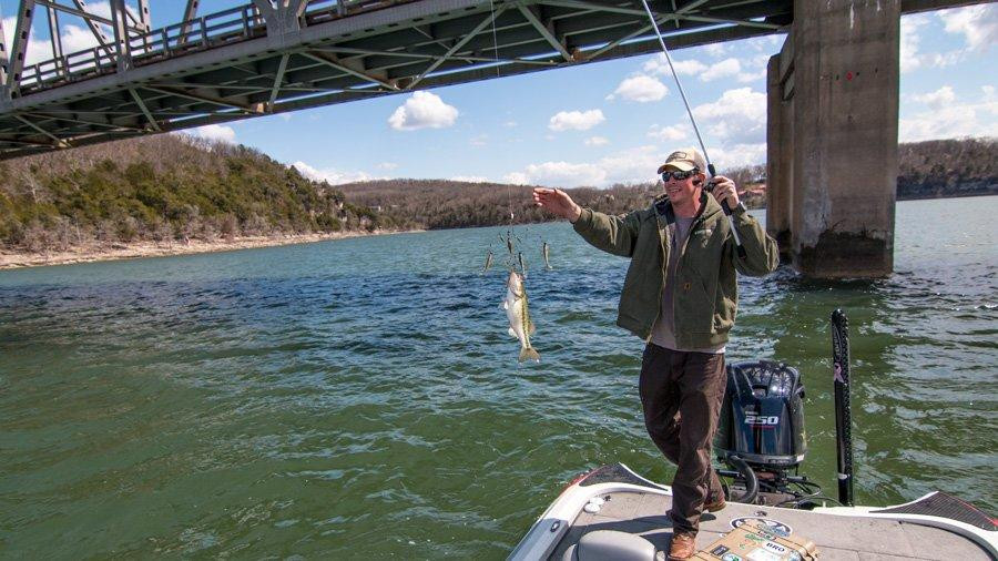 How to Find and Fish the Shad Spawn for Bass - Wired2Fish