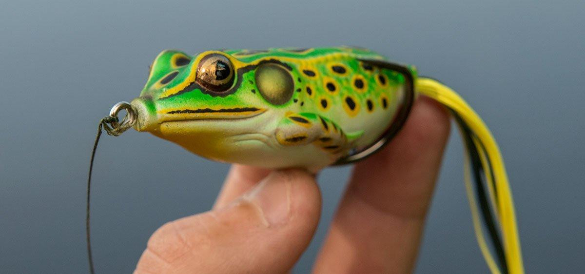 LIVETARGET Hollow Body Frog Review - Wired2Fish