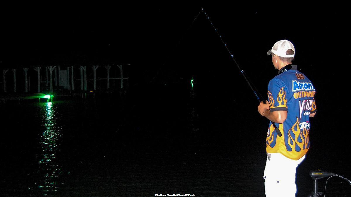 A Crash Course in Dock Light Fishing - Wired2Fish
