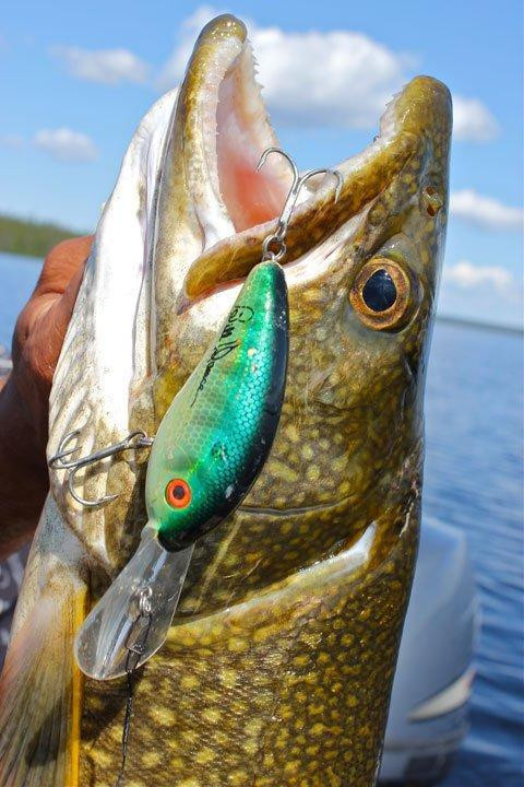 Tips for Fishing in the Boundary Waters - Wired2Fish
