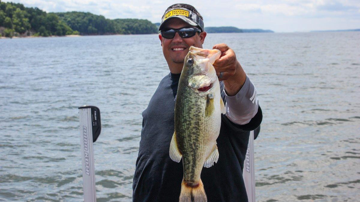 Basstrix Paddle Tail Swimbait Review - Wired2Fish