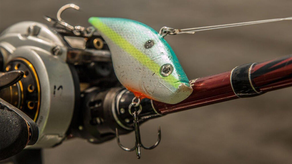 Berkley Warpig Lipless Crankbait Review - Wired2Fish