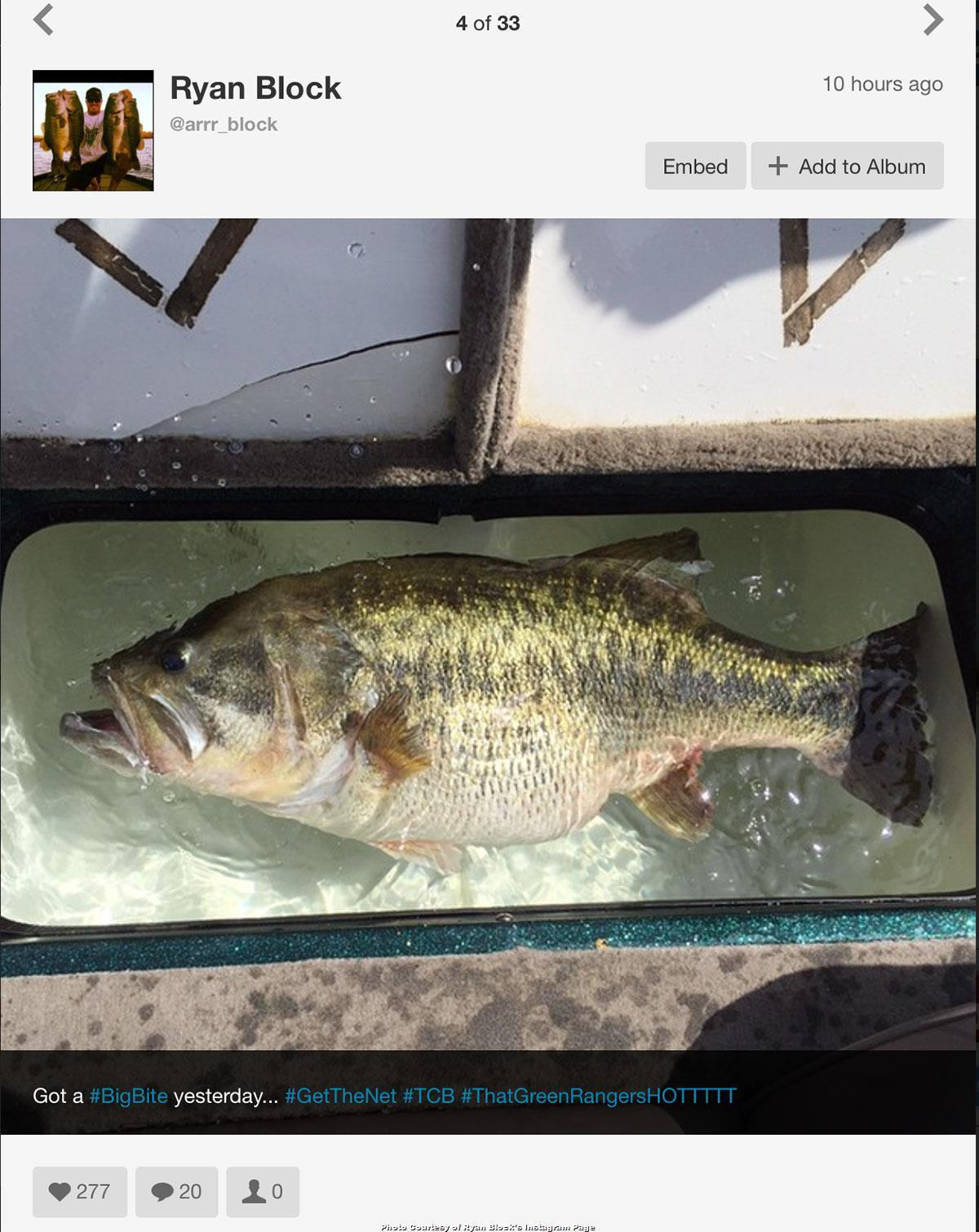 16-pound Bass Caught in Southern California - Wired2Fish