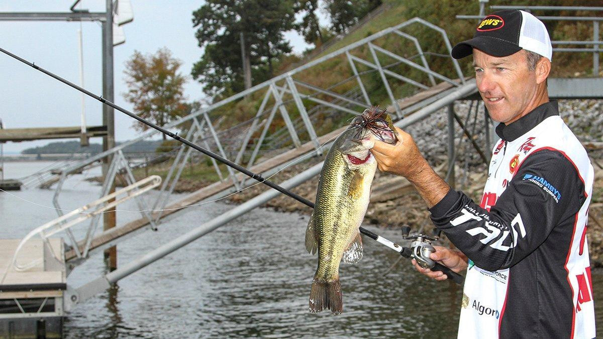 9 Keys to Catching Bass on Docks - Wired2Fish