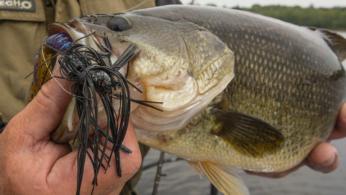 How to Fish for Transition Fall River Bass - Wired2Fish