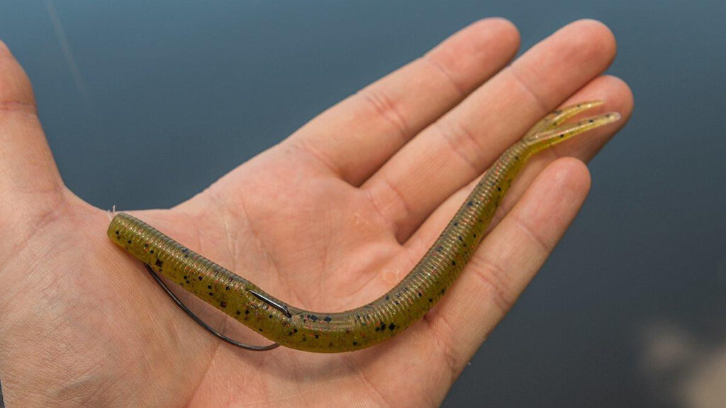 Zoom Fluke Stick Review - Wired2Fish