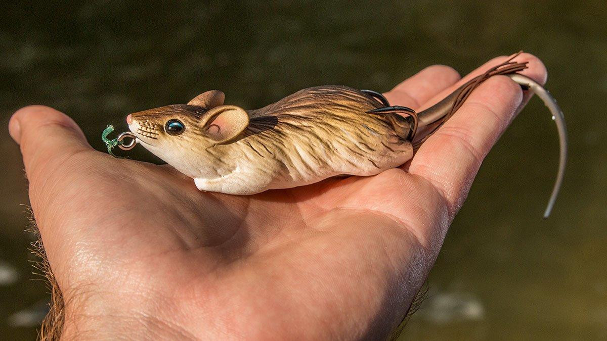 LIVETARGET Hollow Body Field Mouse Review - Wired2Fish