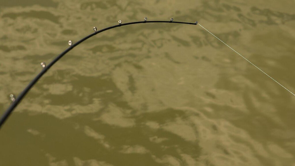 Enigma Fishing Phenom Black Rod Review - Wired2Fish