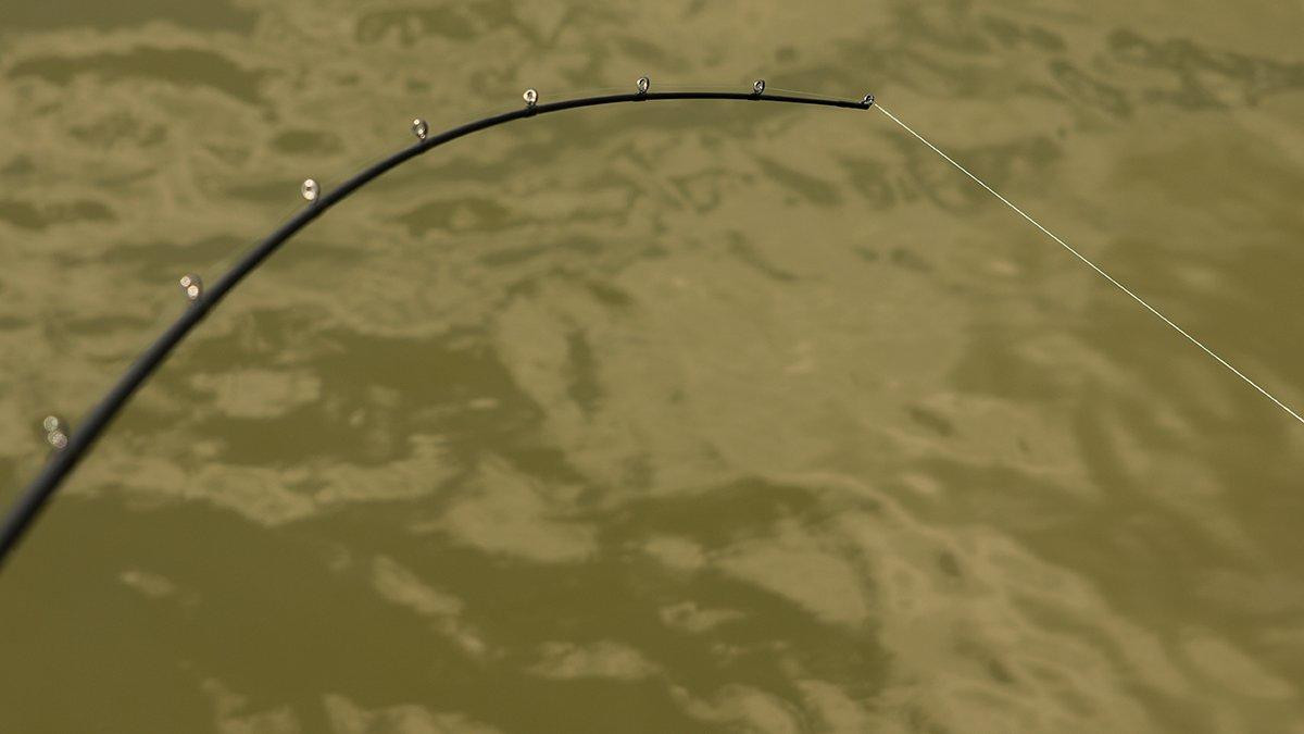 Enigma Fishing Phenom Black Rod Review - Wired2Fish