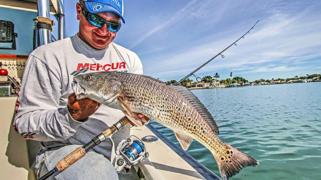 The Range of Redfish for Fishing Adventures - Wired2Fish