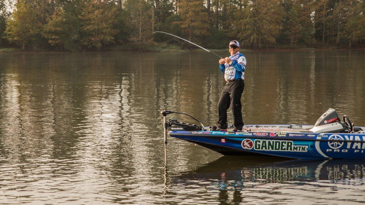 5 Overlooked Summer Frog Fishing Targets - Wired2Fish