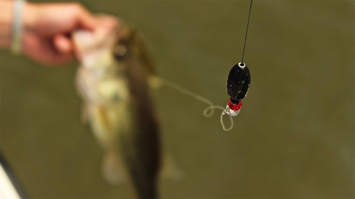 Two Reliable Patterns for Late Summer Bass - Wired2Fish
