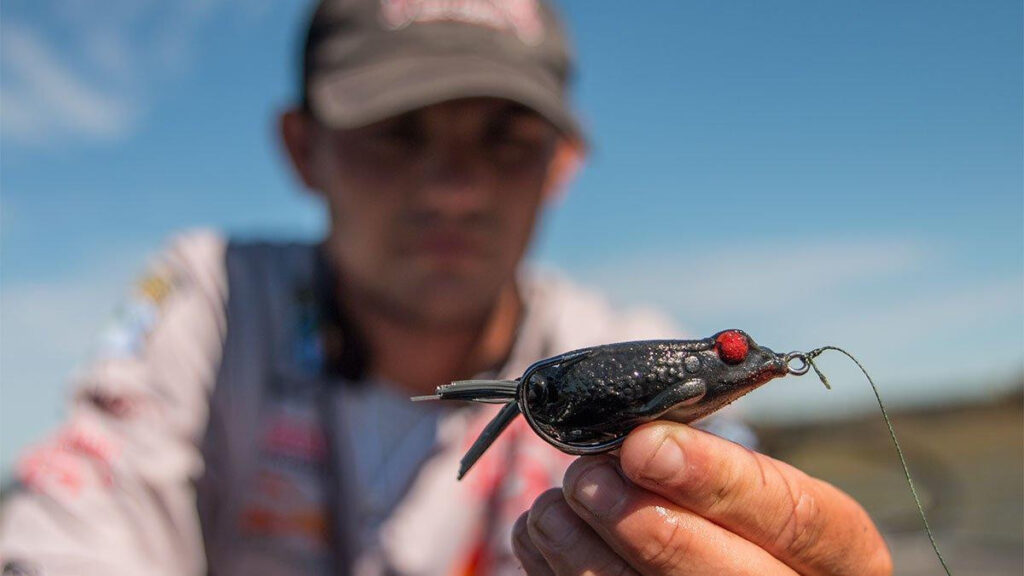 3 Frog Colors that Work Anywhere - Wired2Fish