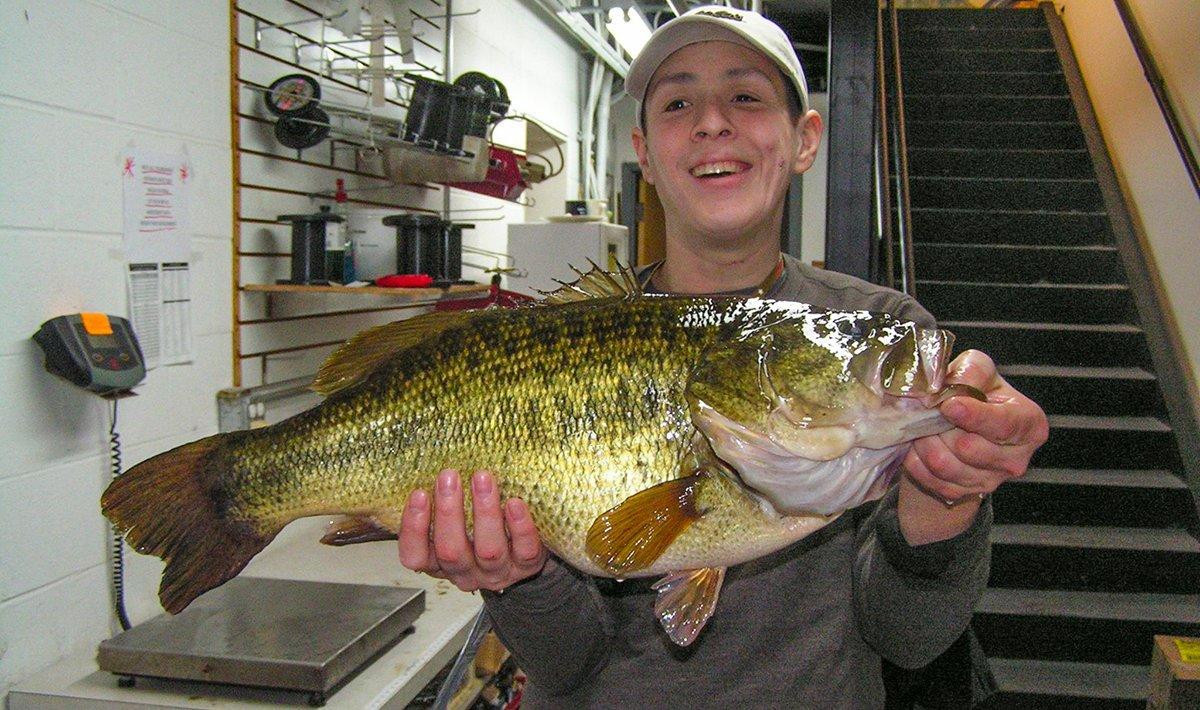 Giant Delaware Bass Breaks State Record - Wired2Fish