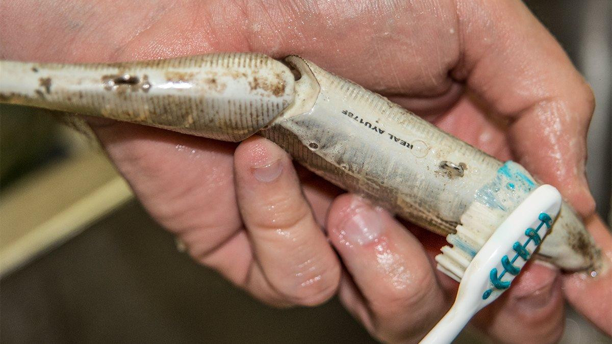 How to Restore Old Fishing Lures - Wired2Fish