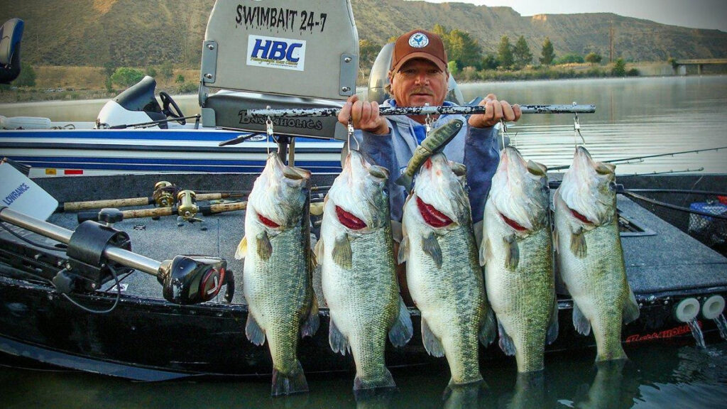 Learn to Fish Glide Baits for Giant Bass - Wired2Fish