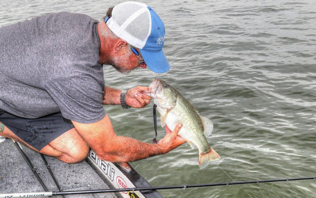 Choosing the Right Lure for Ledge Fishing - Wired2Fish