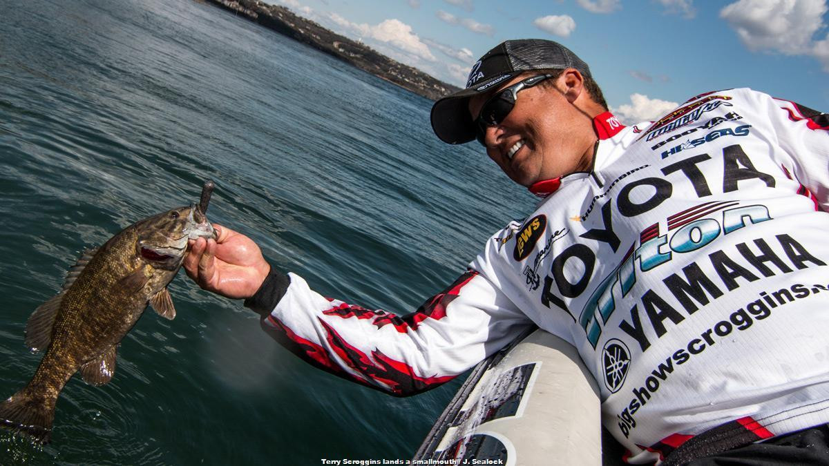 Learn Why Bluffing Bass Works All Year - Wired2Fish
