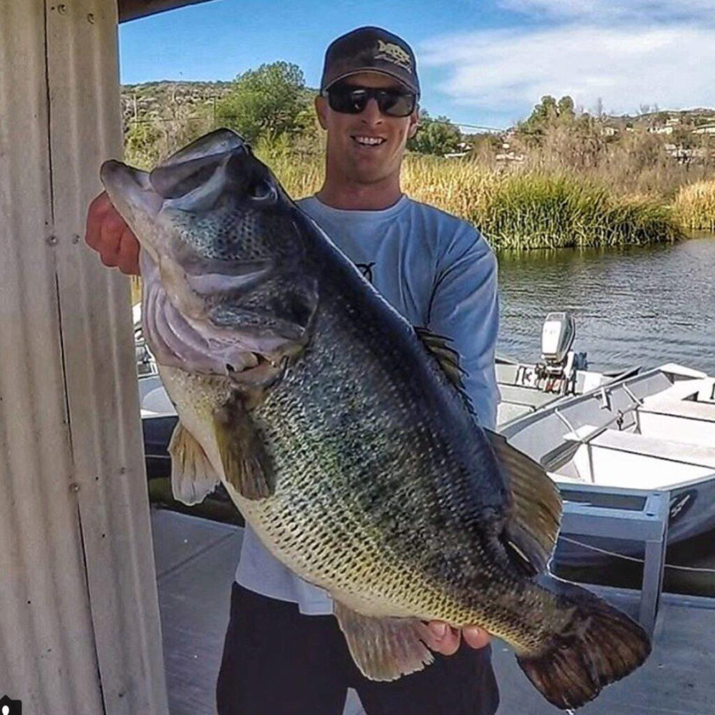 Monster 16-pound Bass Caught in California - Wired2Fish