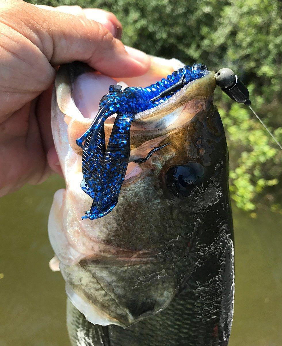 Strike King Magnum Rage Bug Review - Wired2Fish