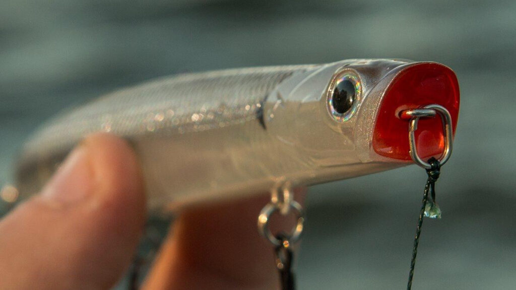 Lucky Craft Gunfish 117 Review - Wired2Fish