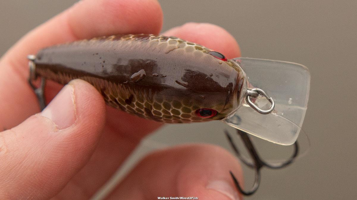 XCalibur XCS Square Lip Crankbait Review - Wired2Fish