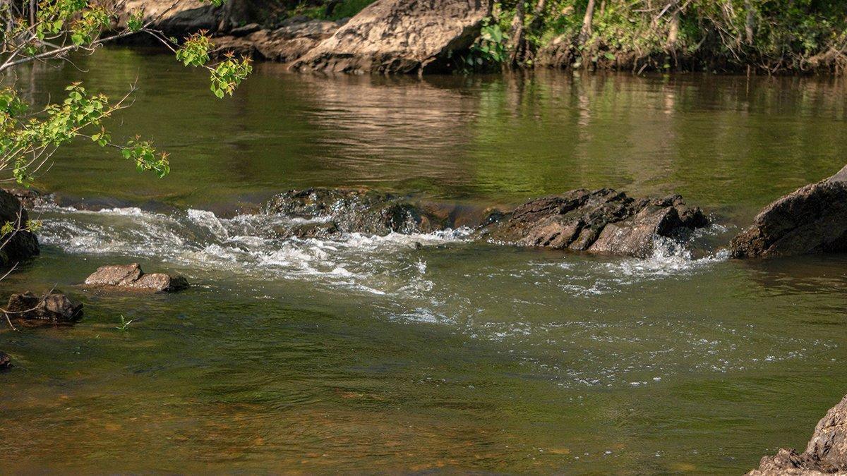 Learn the 3 Level Rule of Fishing Current - Wired2Fish