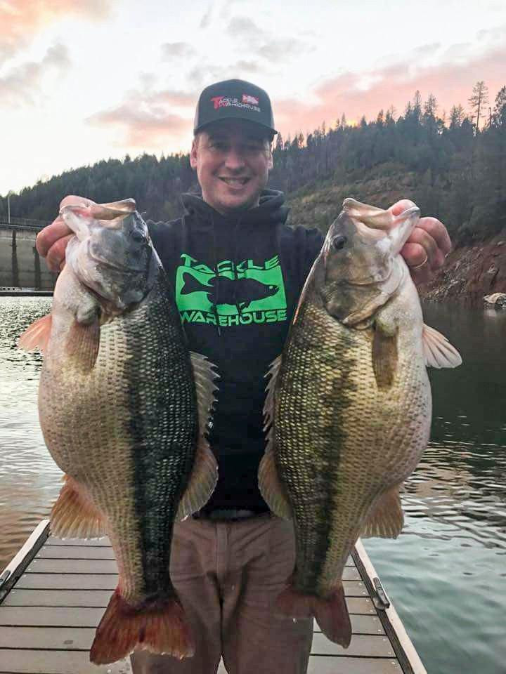 Another Potential World Record Spotted Bass Caught - Wired2Fish