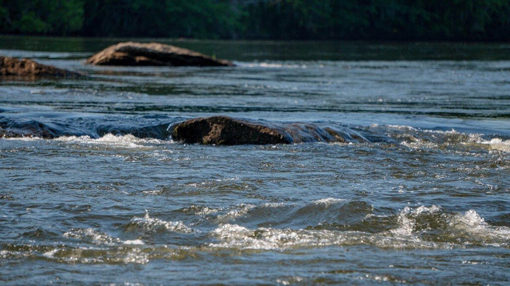 Learn the 3 Level Rule of Fishing Current - Wired2Fish