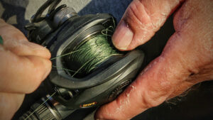 3 Easy Ways to Pick out Backlashes - Wired2Fish