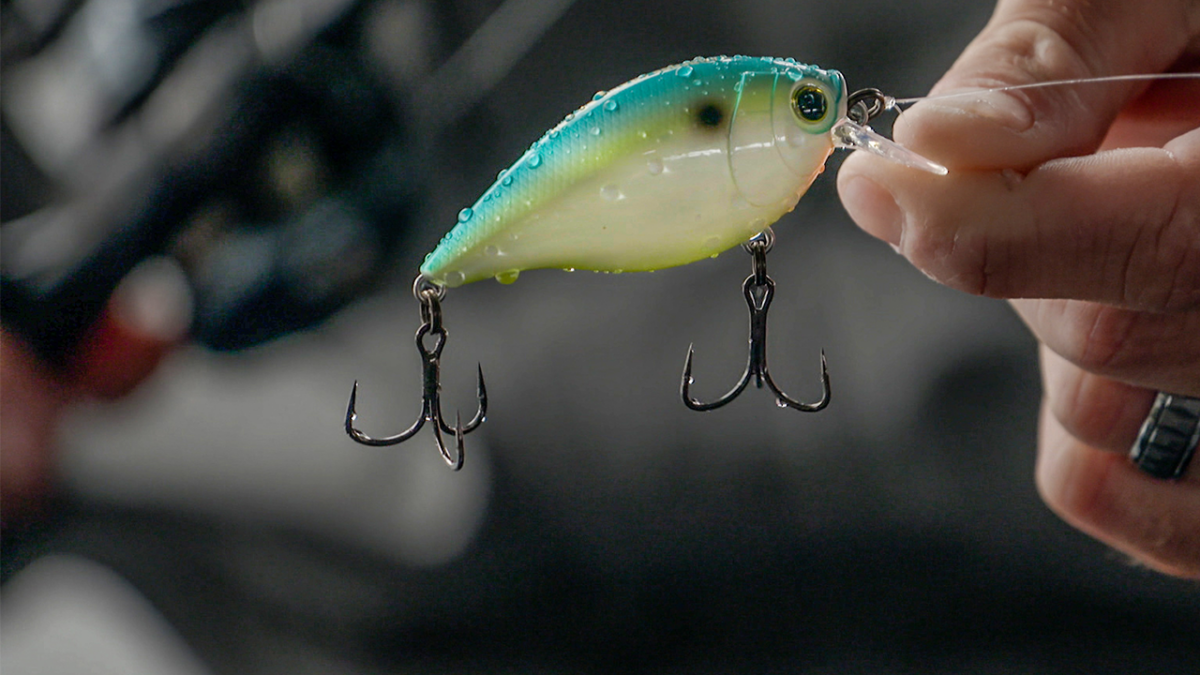 3 Prime Fall Bass Baits for Mid-South Lakes - Wired2Fish