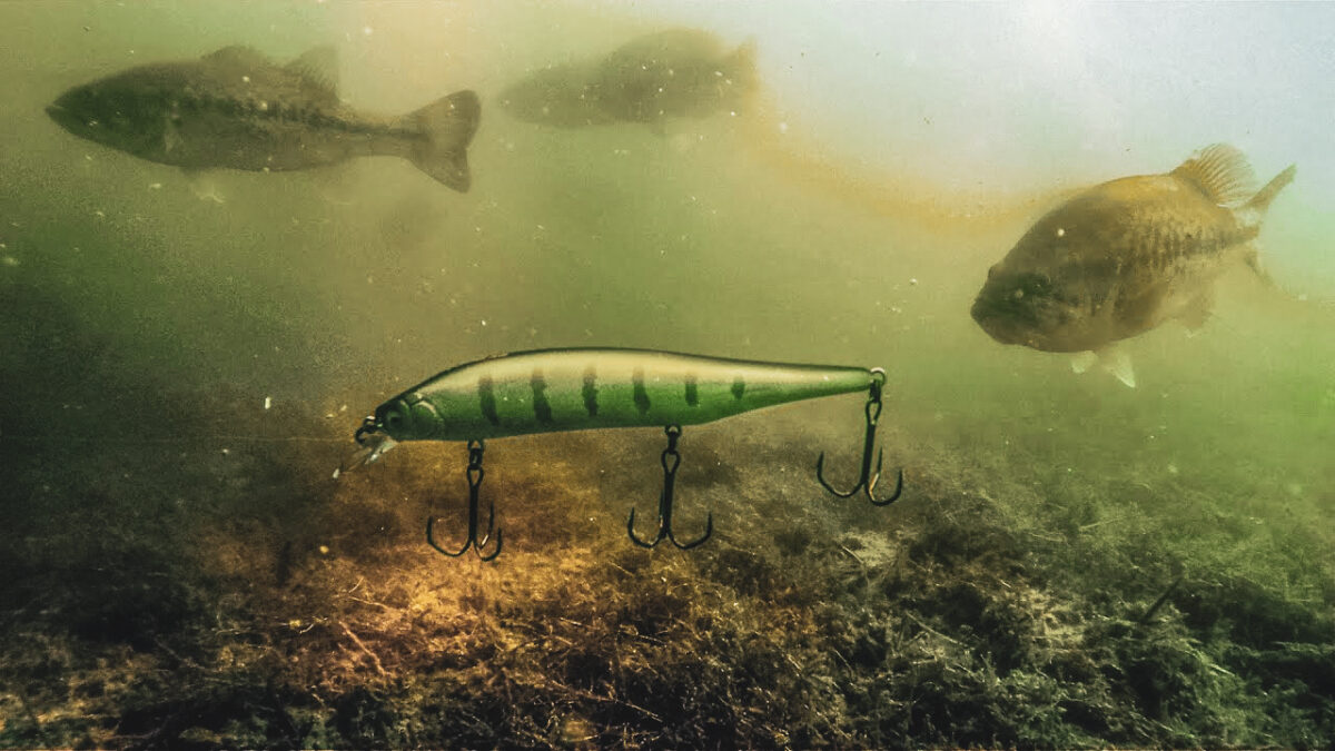 Prespawn Bass Fishing with Jerkbaits | Timing, Locations and Best Baits - Wired2Fish
