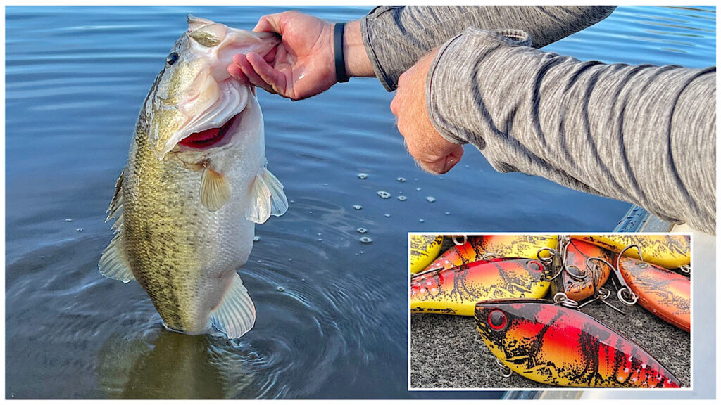 3 Big-Time Advantages of Buying Fishing Tackle in Bulk - Wired2Fish