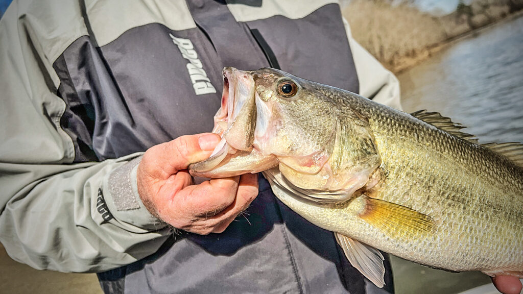 Rapala RAIN Pro Rain Jacket and Bibs Review - Wired2Fish