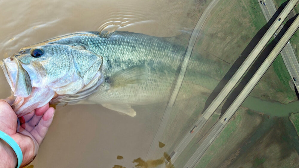 How to Study Fisheries with Satellite Imagery - Wired2Fish