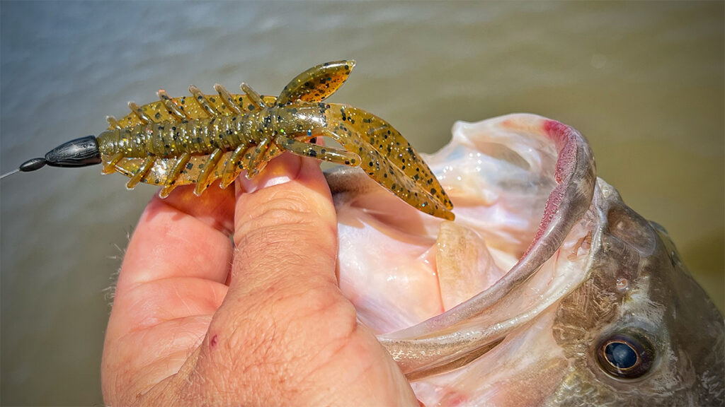 3 Wild-Looking Bass Fishing Baits That Catch Big Bass - Wired2Fish