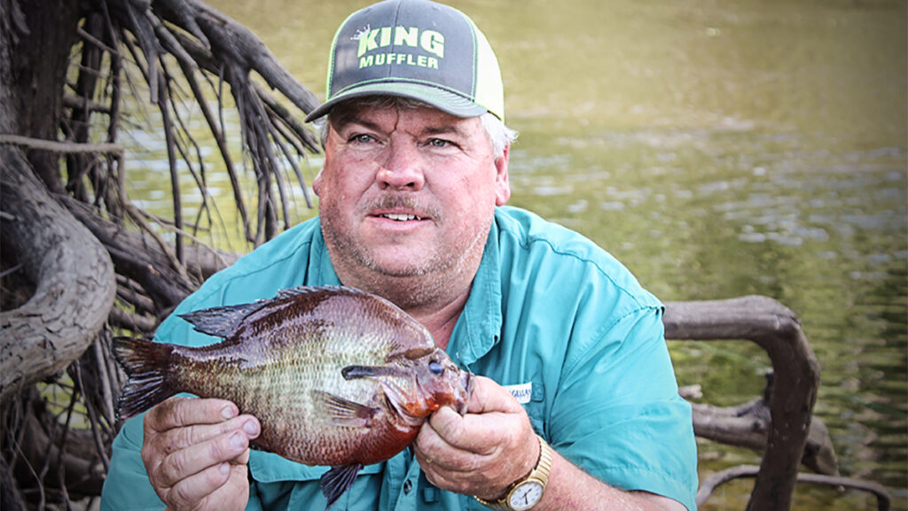 Possible World-Record Redbreast Sunfish Caught - Wired2Fish